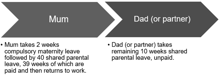 Shared parental leave policy - Torbay Council